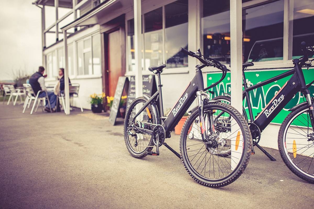 Buy a RooDog Avatar Step Through Electric Bike from E-Bikes Direct